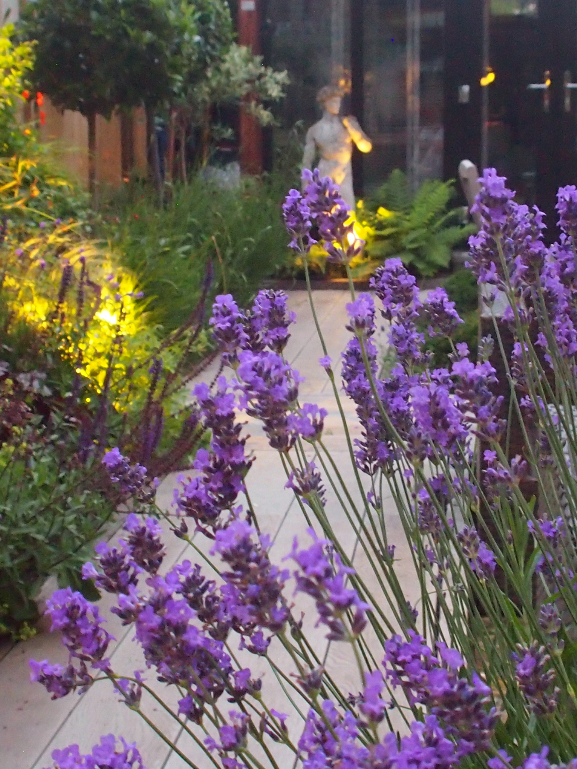 Plants to Enjoy All-Year Round - Outdoor Creations